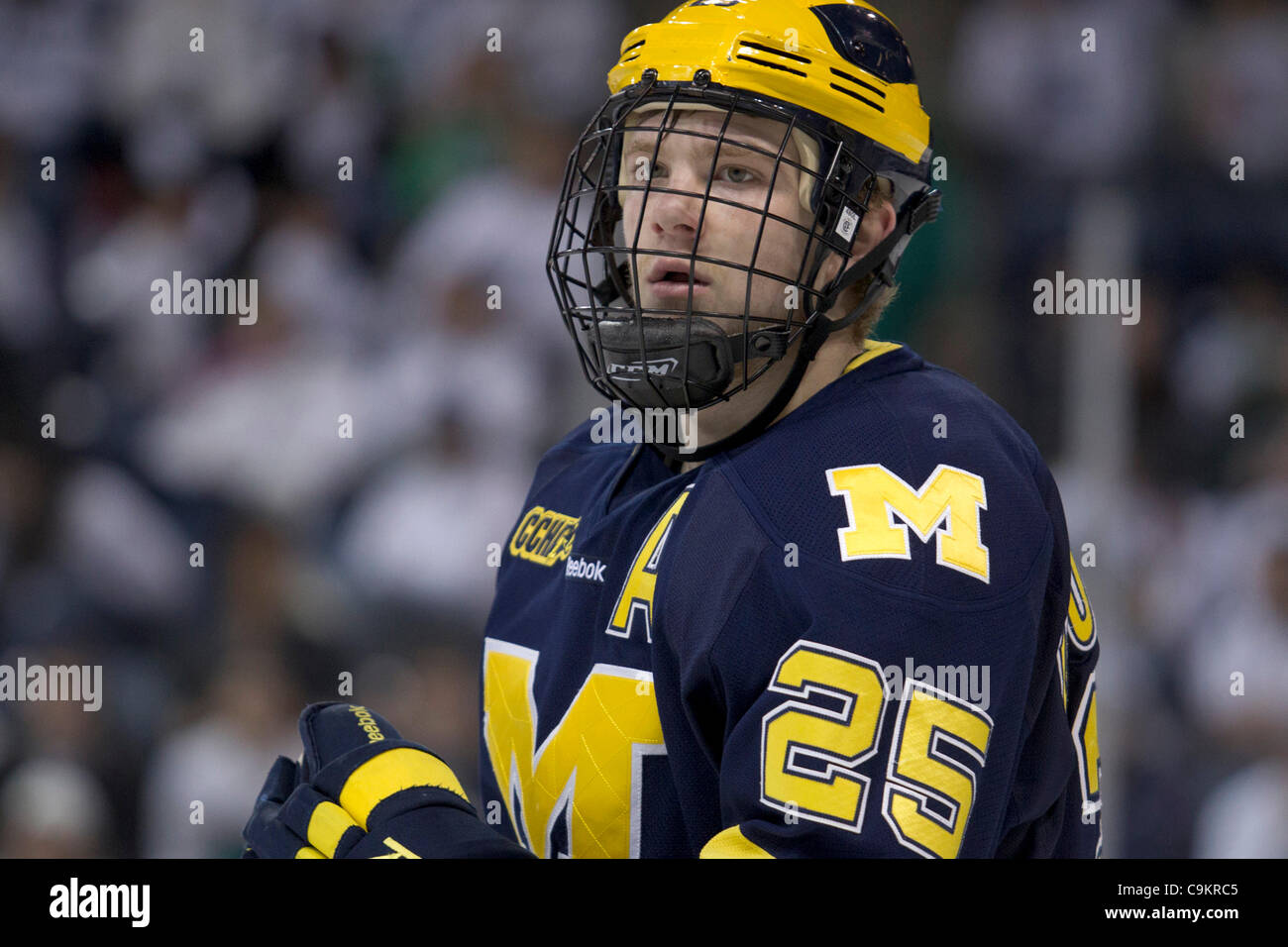 Compton family ice arena hi-res stock photography and images - Alamy