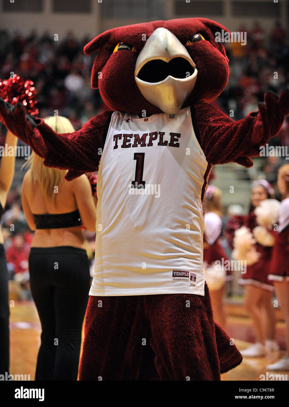 Temple owls mascot hi-res stock photography and images - Alamy
