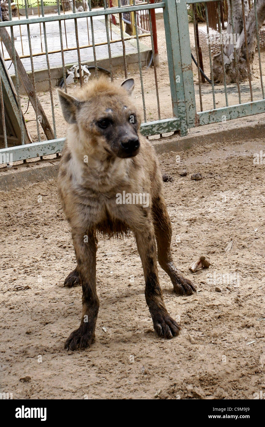 Jan. 23, 2012 - Southern Gaza Strip, Gaza Strip, Palestinian Territory ...