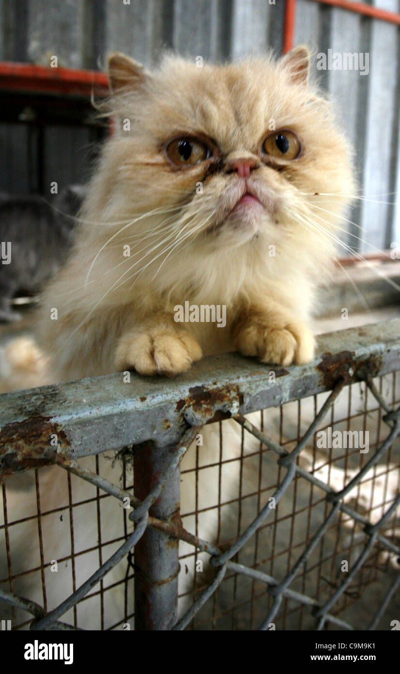 Jan. 23, 2012 - Southern Gaza Strip, Gaza Strip, Palestinian Territory ...