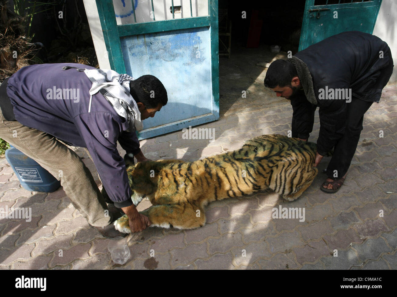 Embalm animals hi-res stock photography and images - Alamy