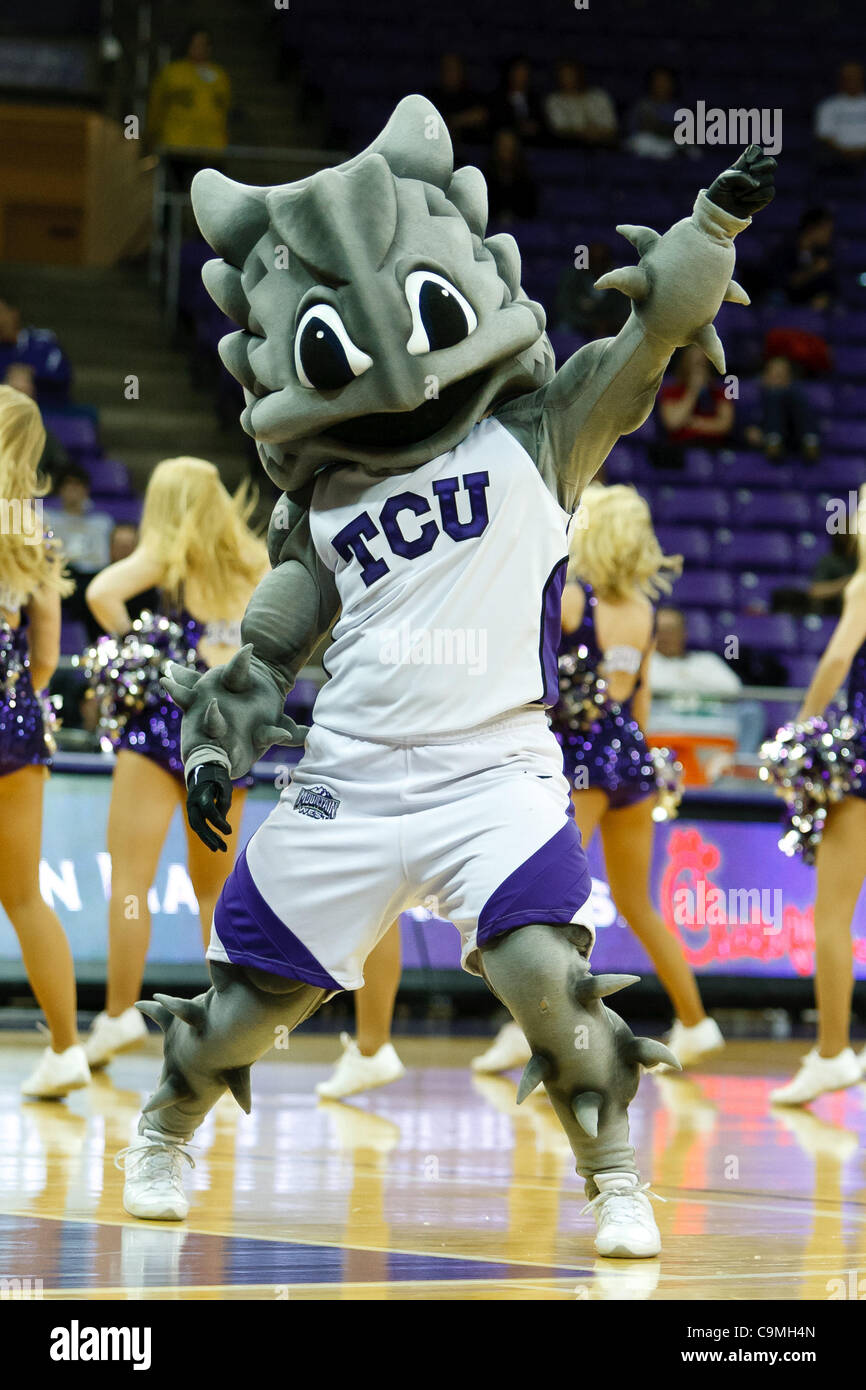 Tcu horned frogs mascot hi-res stock photography and images - Alamy