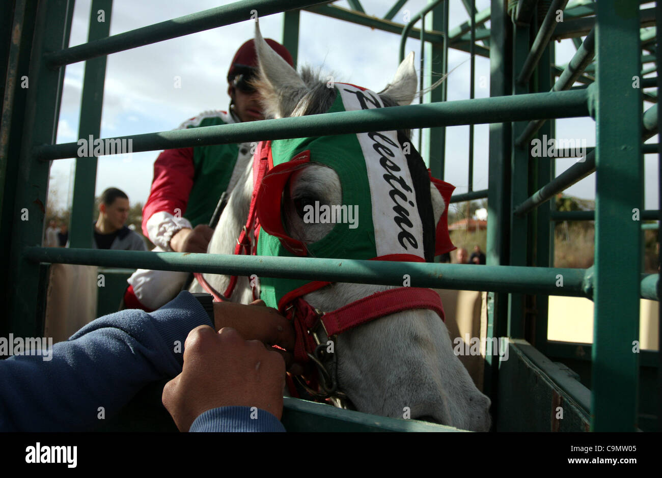 Issam horse hi-res stock photography and images - Alamy