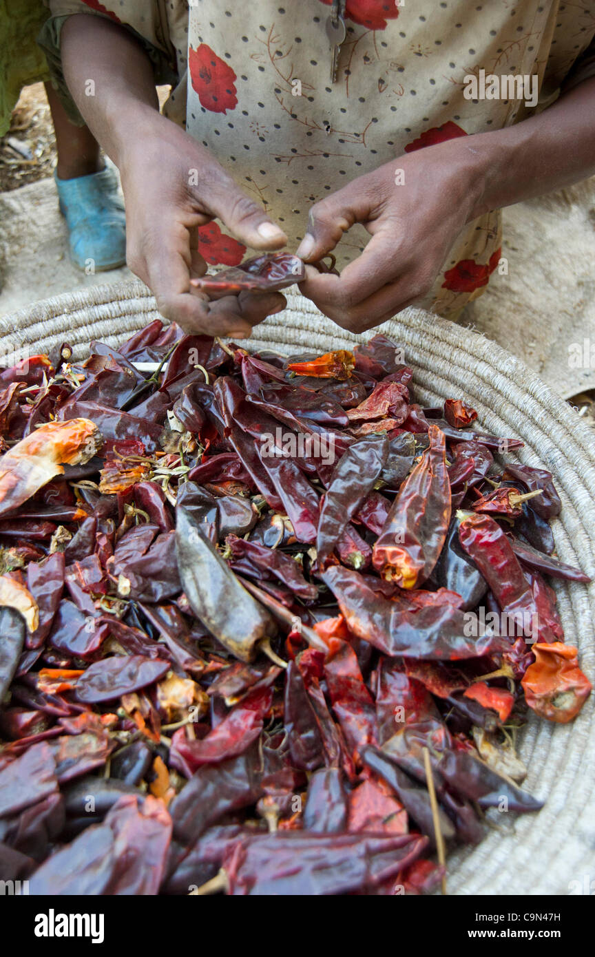 Jan. 19, 2012 - Farta (Woreda, South Gondar (Zone, Ethiopia - January ...