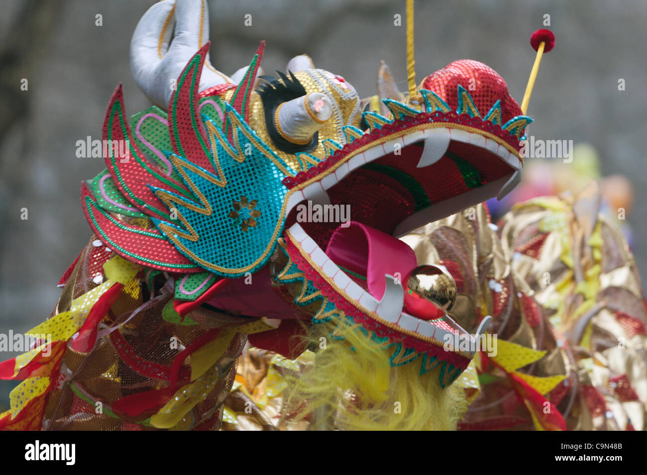 Dragon in parade during celebrations to mark the Chinese New Year, the ...