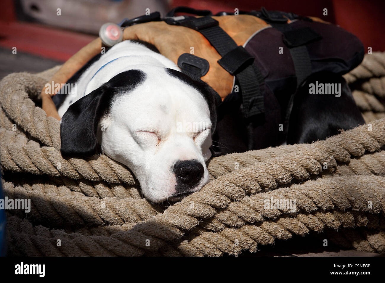 Merchant ship 1700s hi-res stock photography and images - Alamy