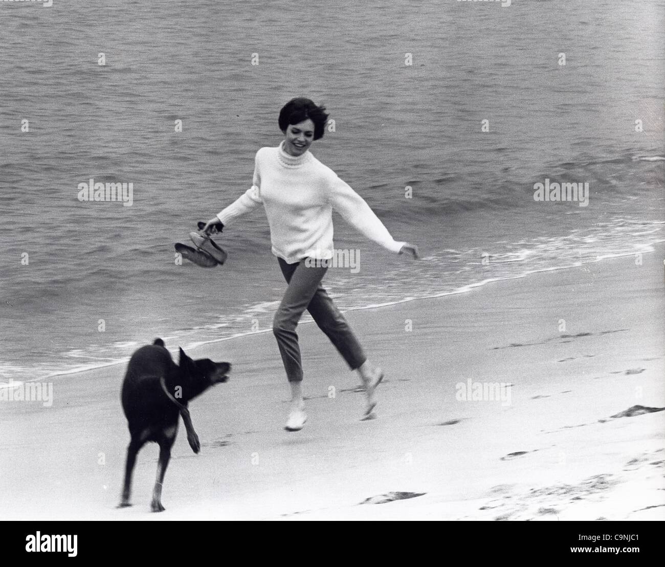 Barbara feldon hi-res stock photography and images - Alamy