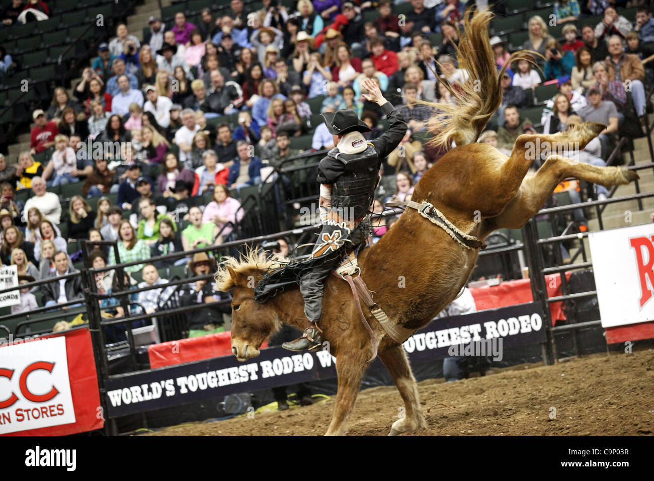 St Paul, Minnesota. 3rd February, 2012. A cowboy rides a bucking horse ...