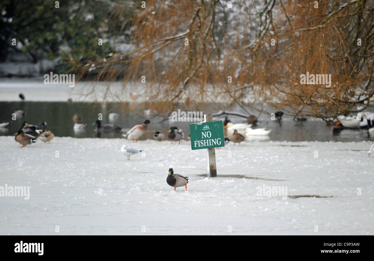 No Fishing sign on the iced over pond in the small village of Falmer ...