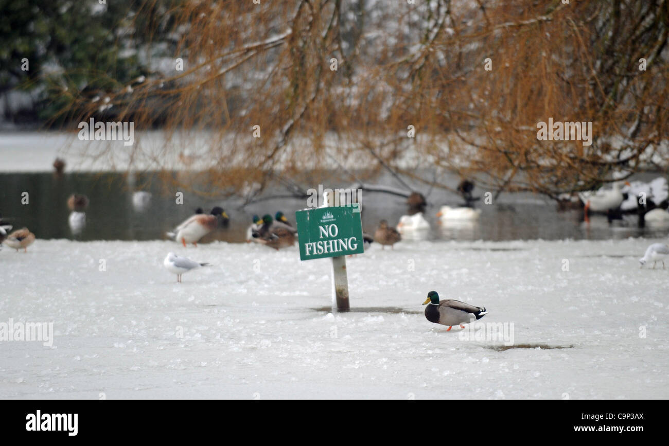 No Fishing sign on the iced over pond in the small village of Falmer ...