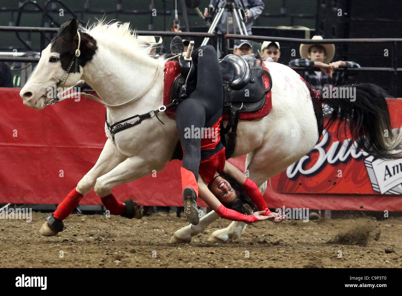 An acrobatic trick rider illustrates an unusual horseback riding style ...