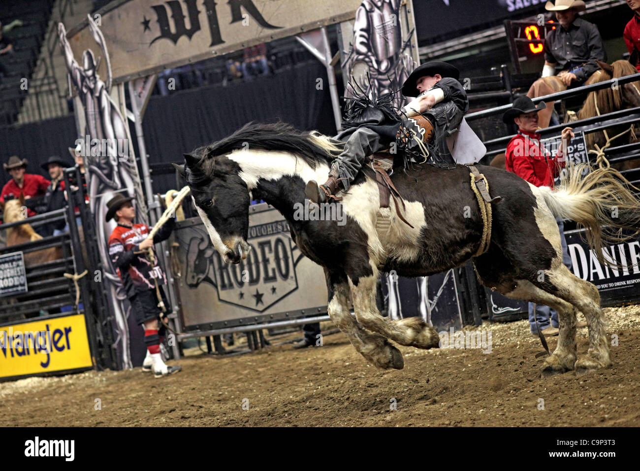 Charging horse hi-res stock photography and images - Alamy