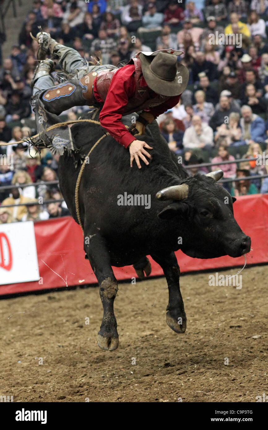 Kicking bull hi-res stock photography and images - Alamy