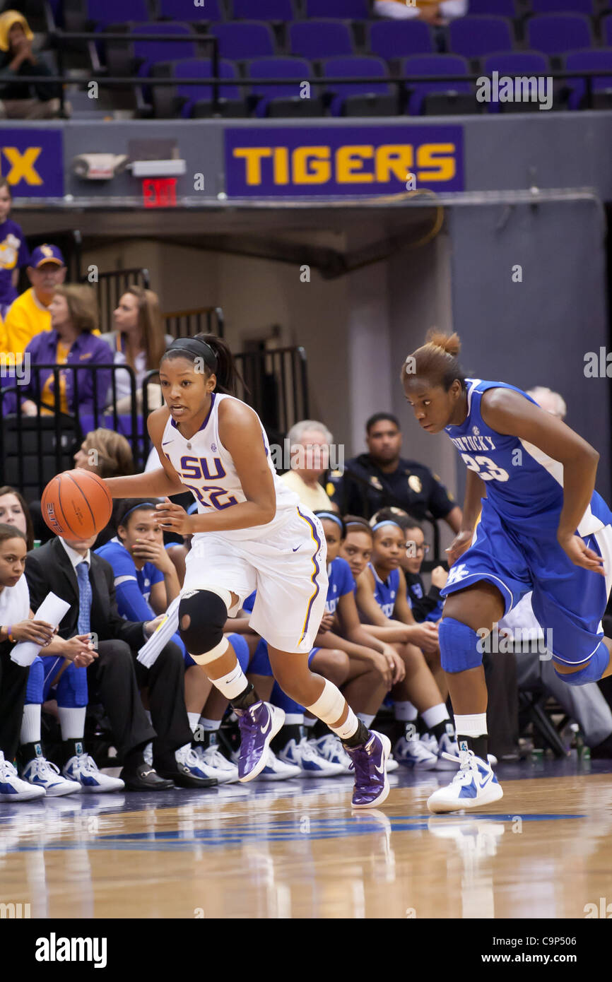 Lsu lady tiger hi-res stock photography and images - Alamy