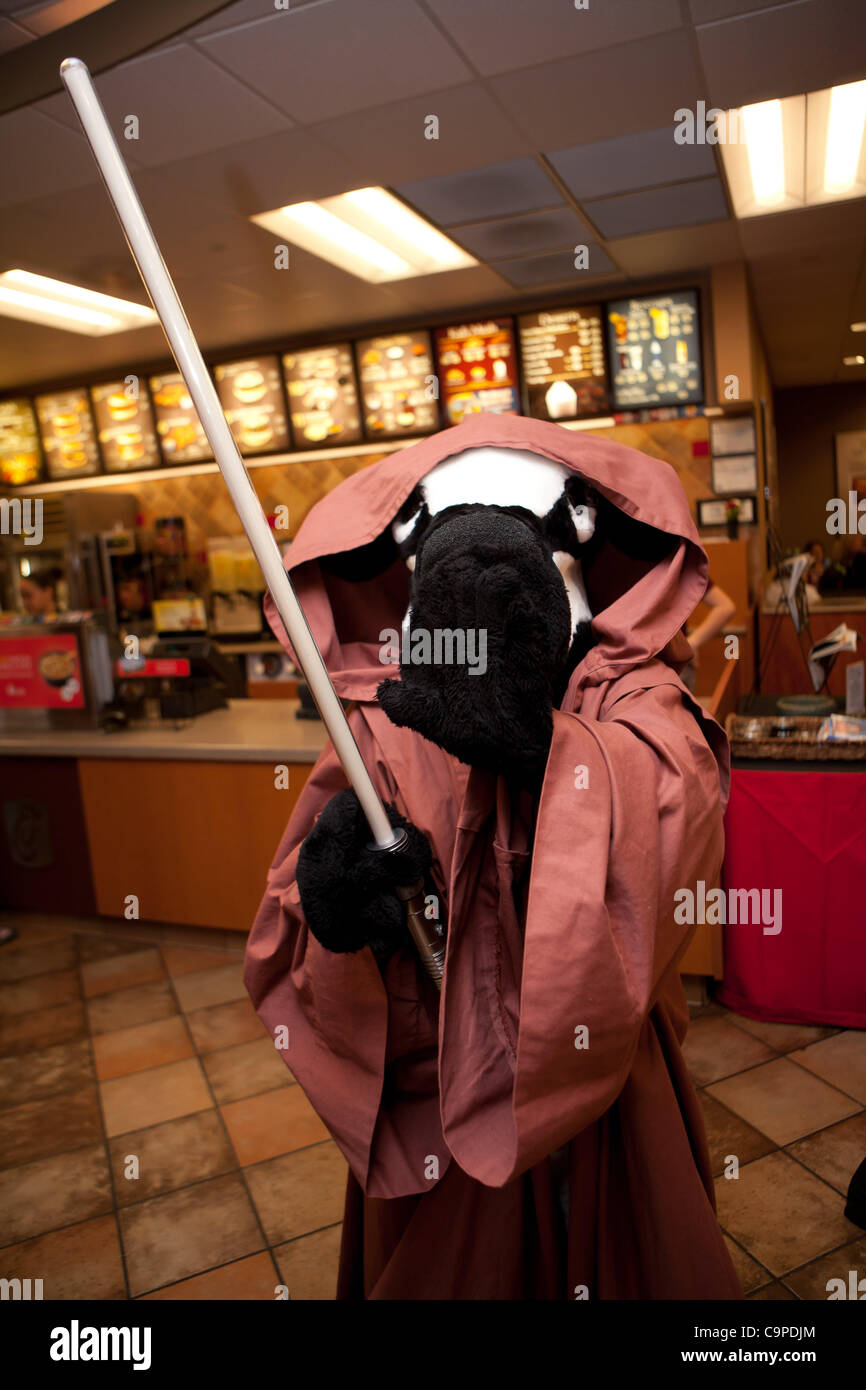 Star Wars Cows