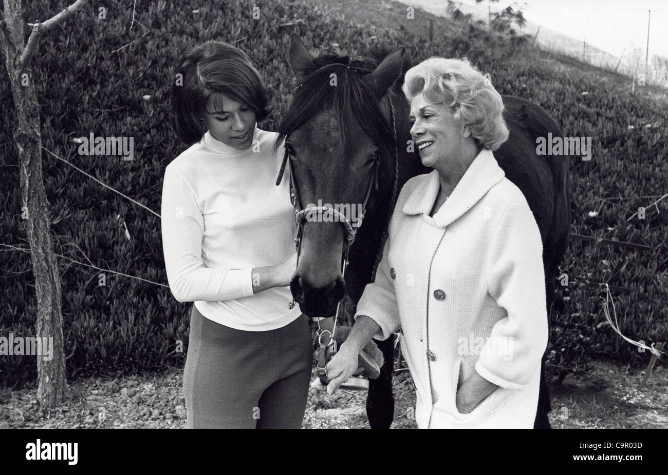 Bea benaderet hi-res stock photography and images - Alamy