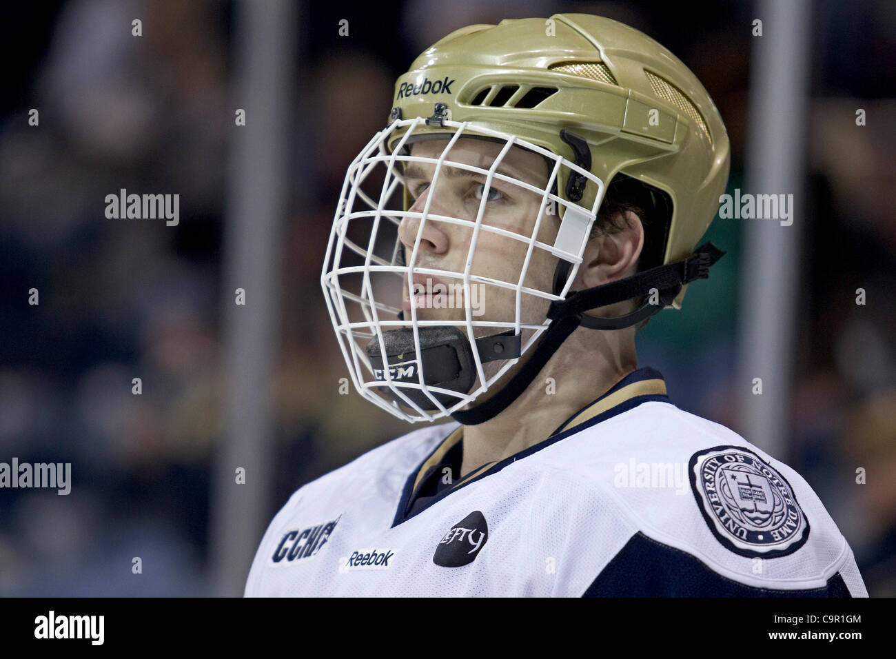Ferris state bulldogs hi-res stock photography and images - Alamy