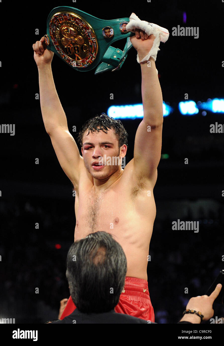 Julio Cesar Chavez Jr. (MEX), FEBRUARY 4, 2012 - Boxing : Julio Cesar ...