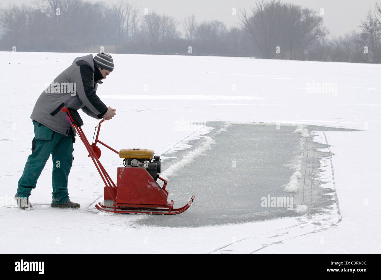 Employees of Pohorelice fisheries cut through the ice on one of the ...