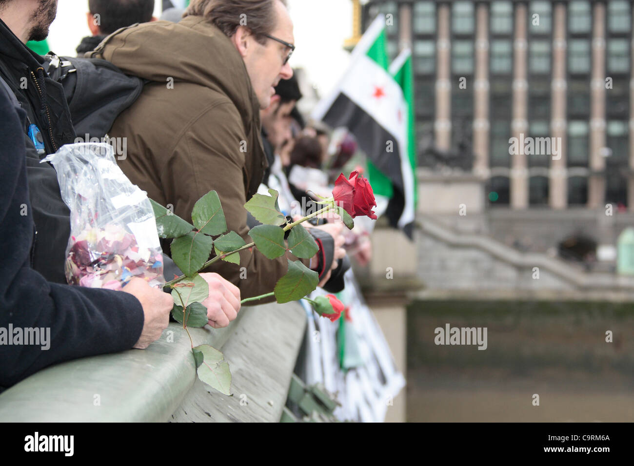 Syrian protesters threw roses and flowers from Westminster Bridge ...