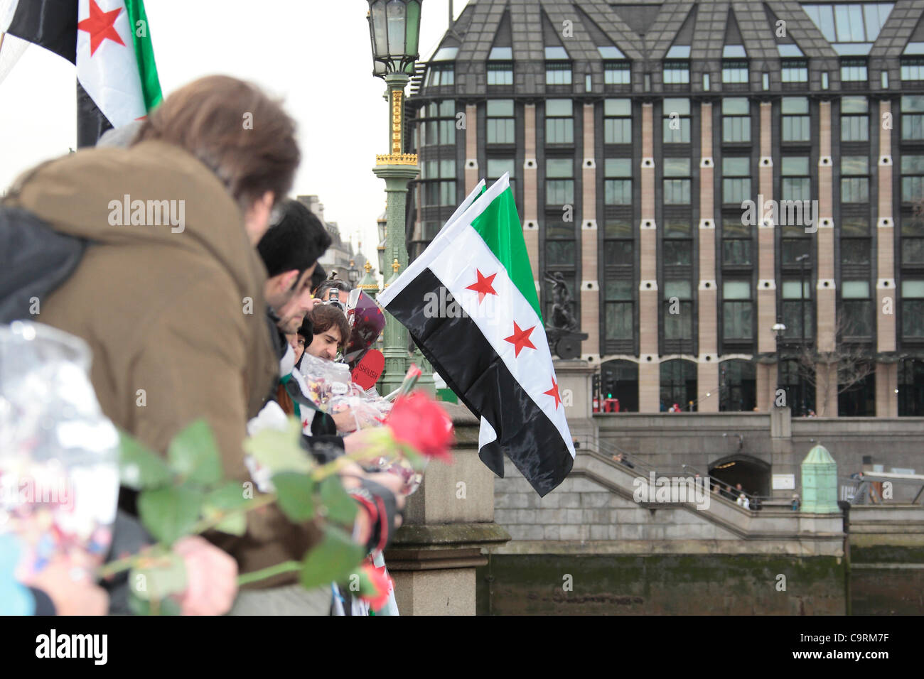 Roses for Martyrs, Syrian protest on Valentines day in Westminster ...