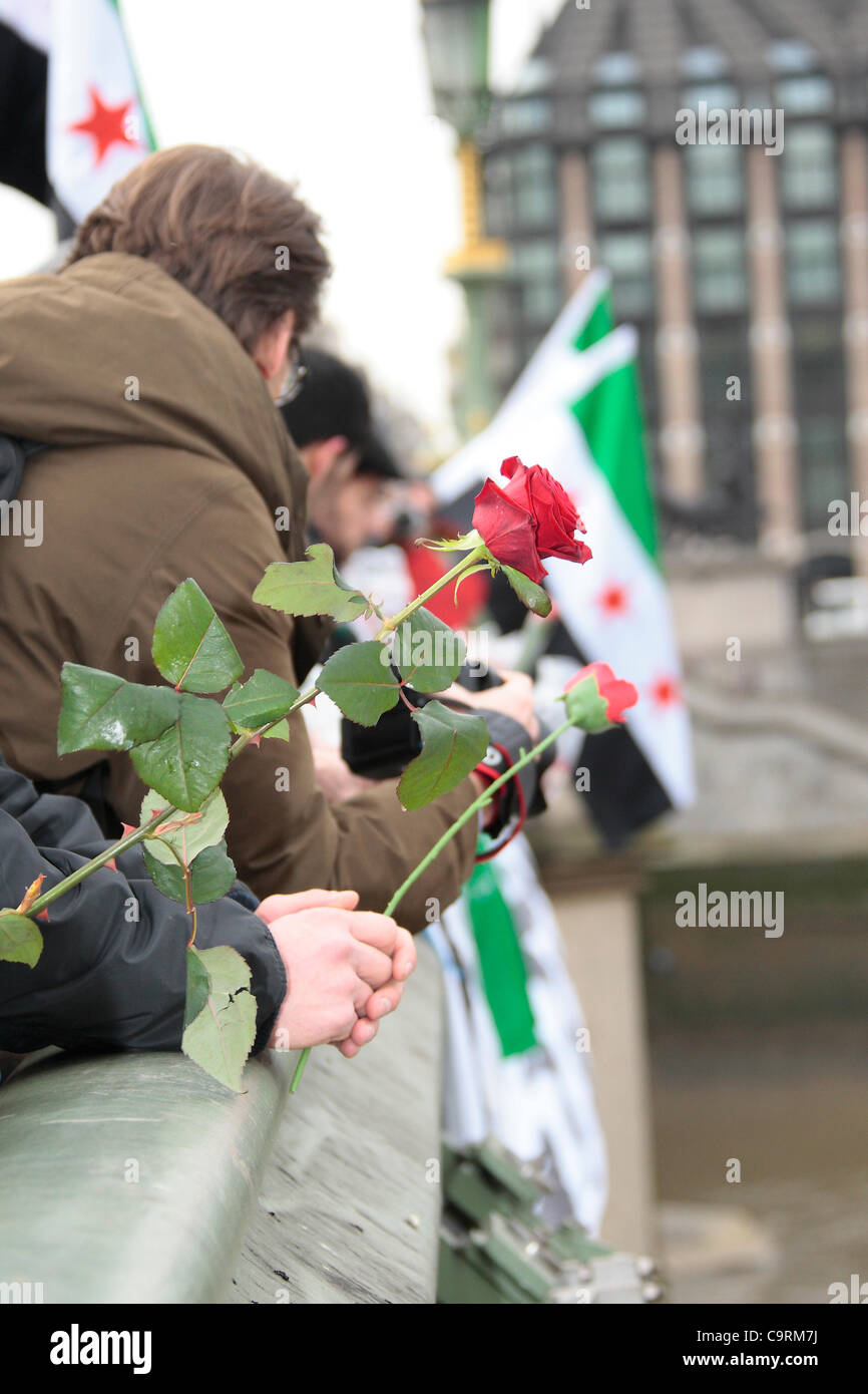 Syrian protesters threw roses and flowers from Westminster Bridge on ...