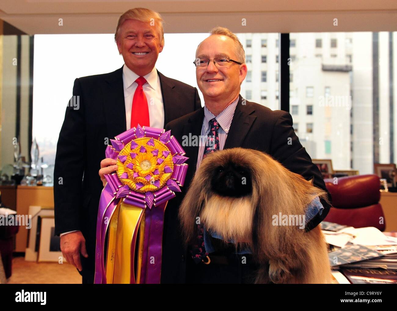 Feb. 15, 2012 - Manhattan, New York, U.S. - Westminster Kennel Club's ...