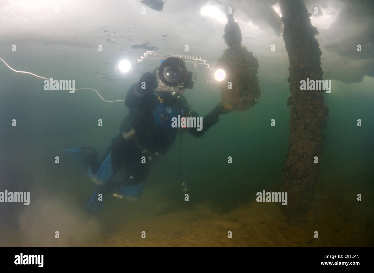 ICE diving in the Black Sea, Odessa, Ukraine, Eastern Europe Stock ...