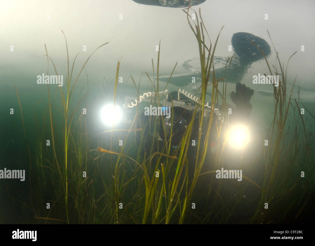 ICE diving in the Black Sea, Odessa, Ukraine, Eastern Europe Stock ...