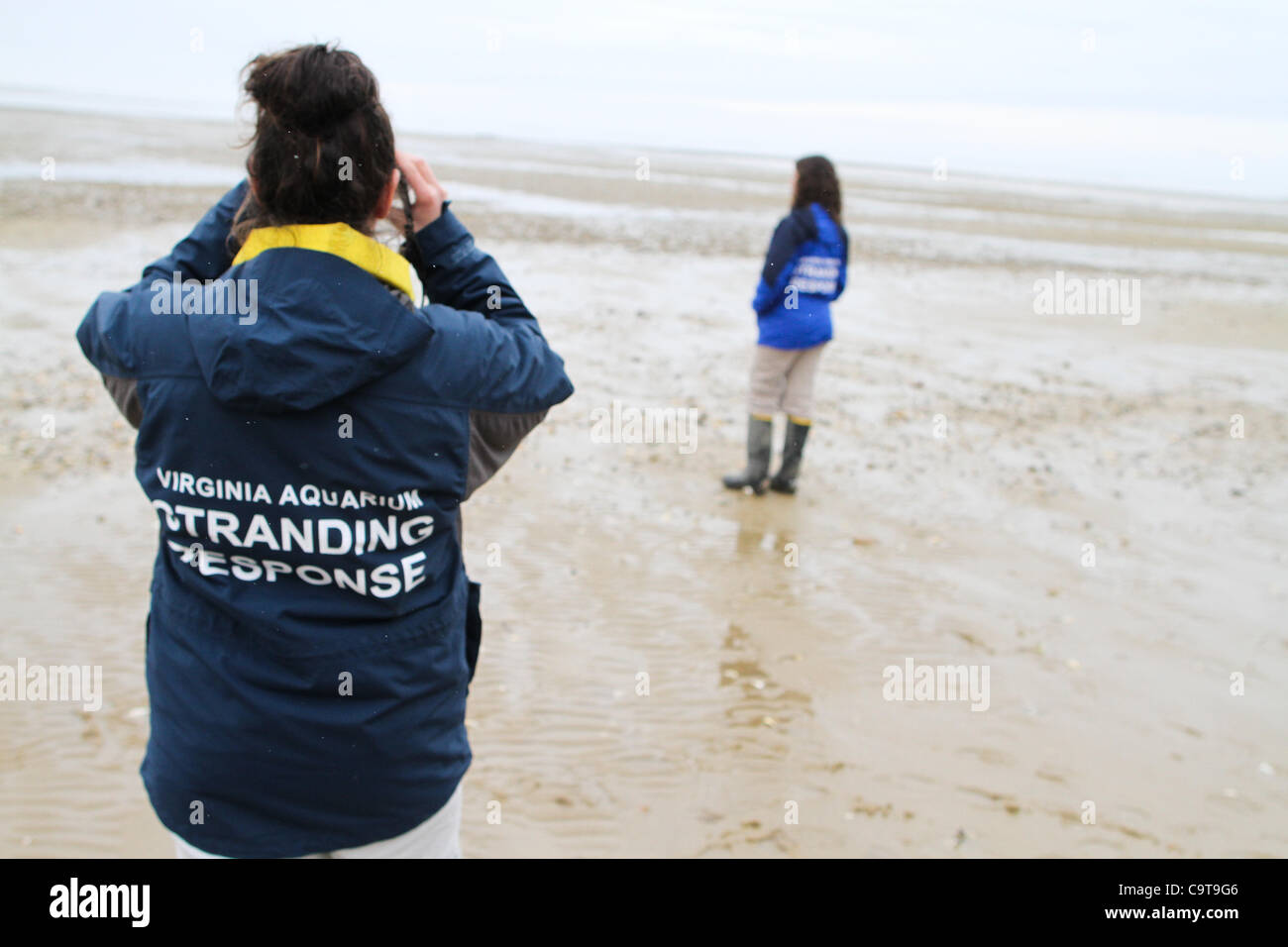 Linda phillips hi-res stock photography and images - Alamy