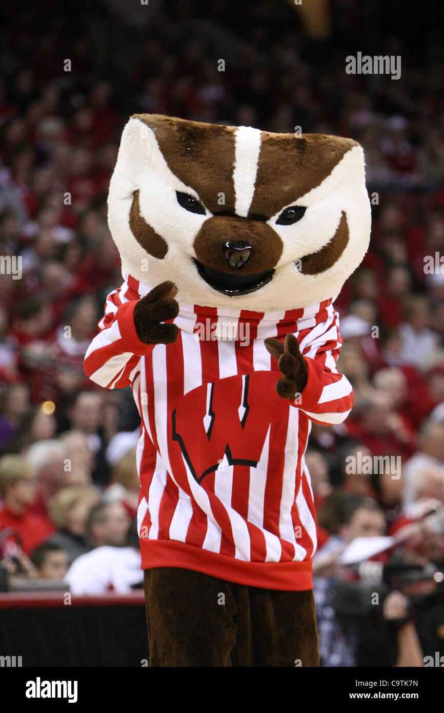 Bucky badger hi-res stock photography and images - Alamy