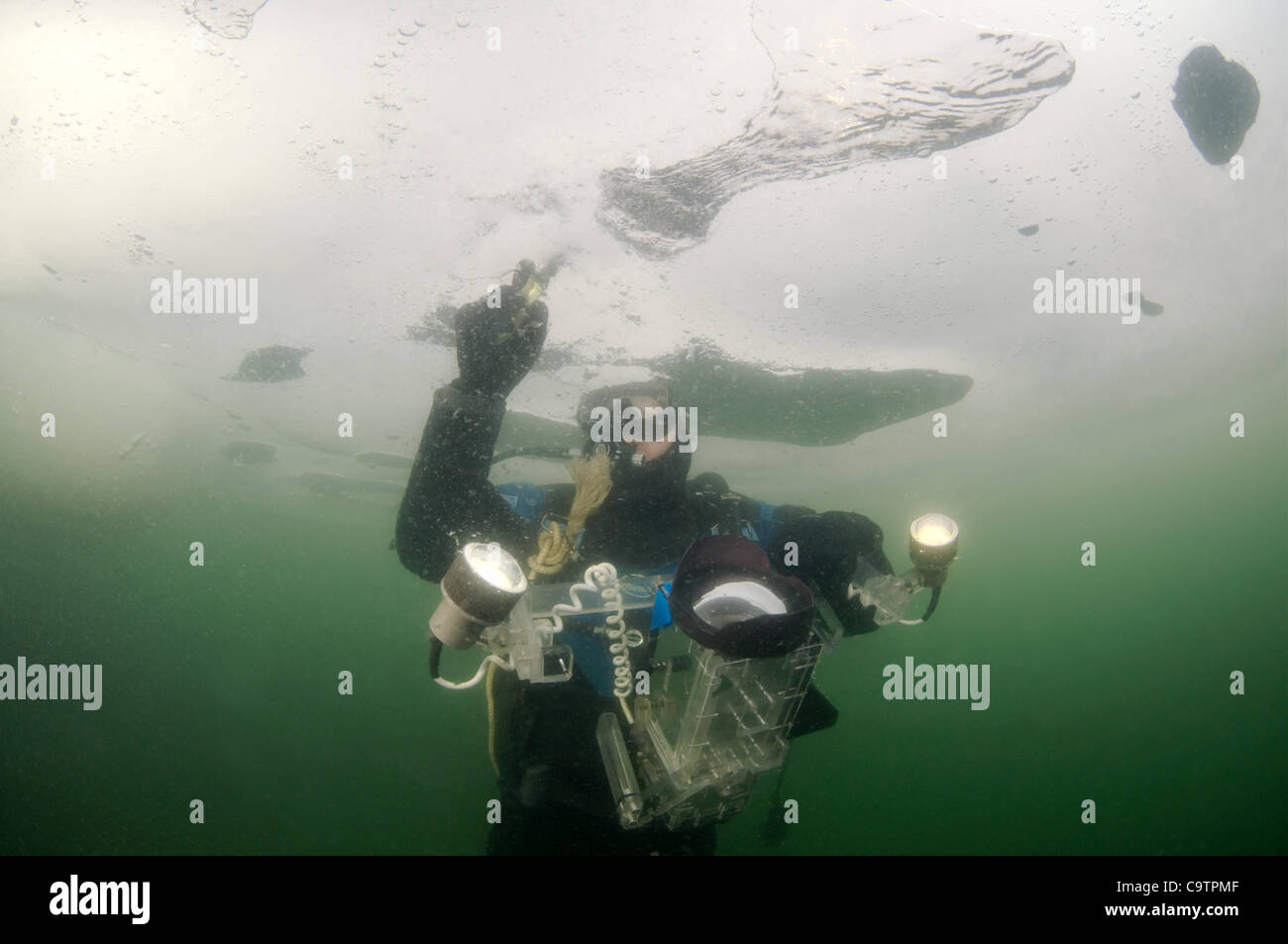 Cool as ice film hi-res stock photography and images - Alamy