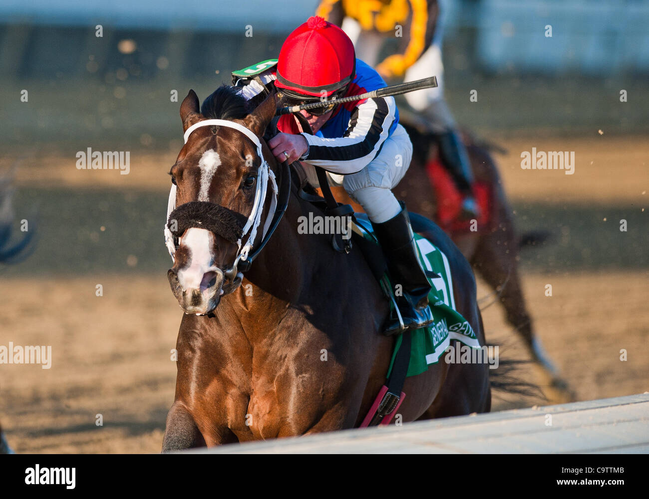 Feb. 20, 2012 - Laurel, MD, U.S. - Yawanna Twist, jockey Mike Luzzi up, charges through on the ...