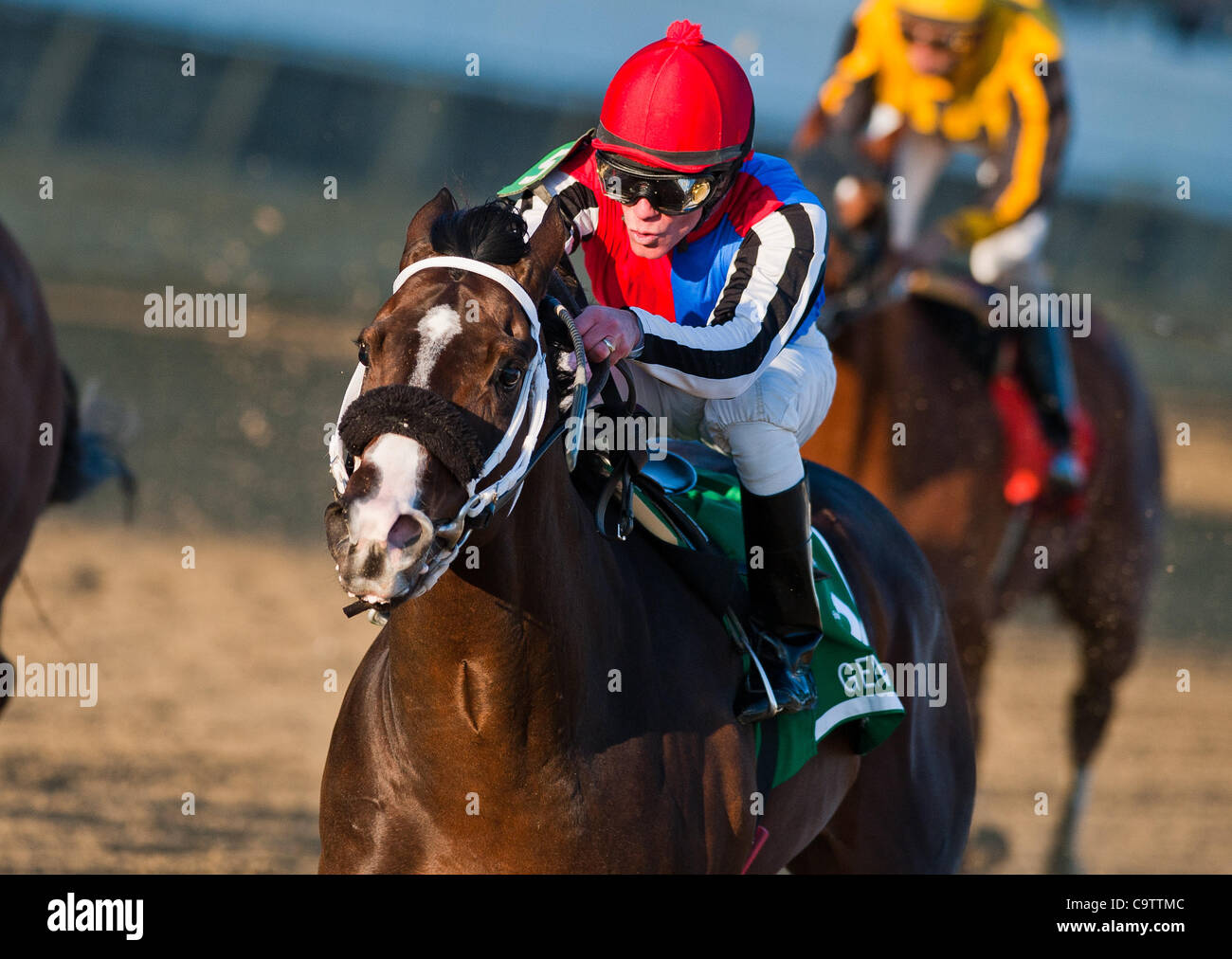 Feb. 20, 2012 - Laurel, MD, U.S. - Yawanna Twist, jockey Mike Luzzi up ...