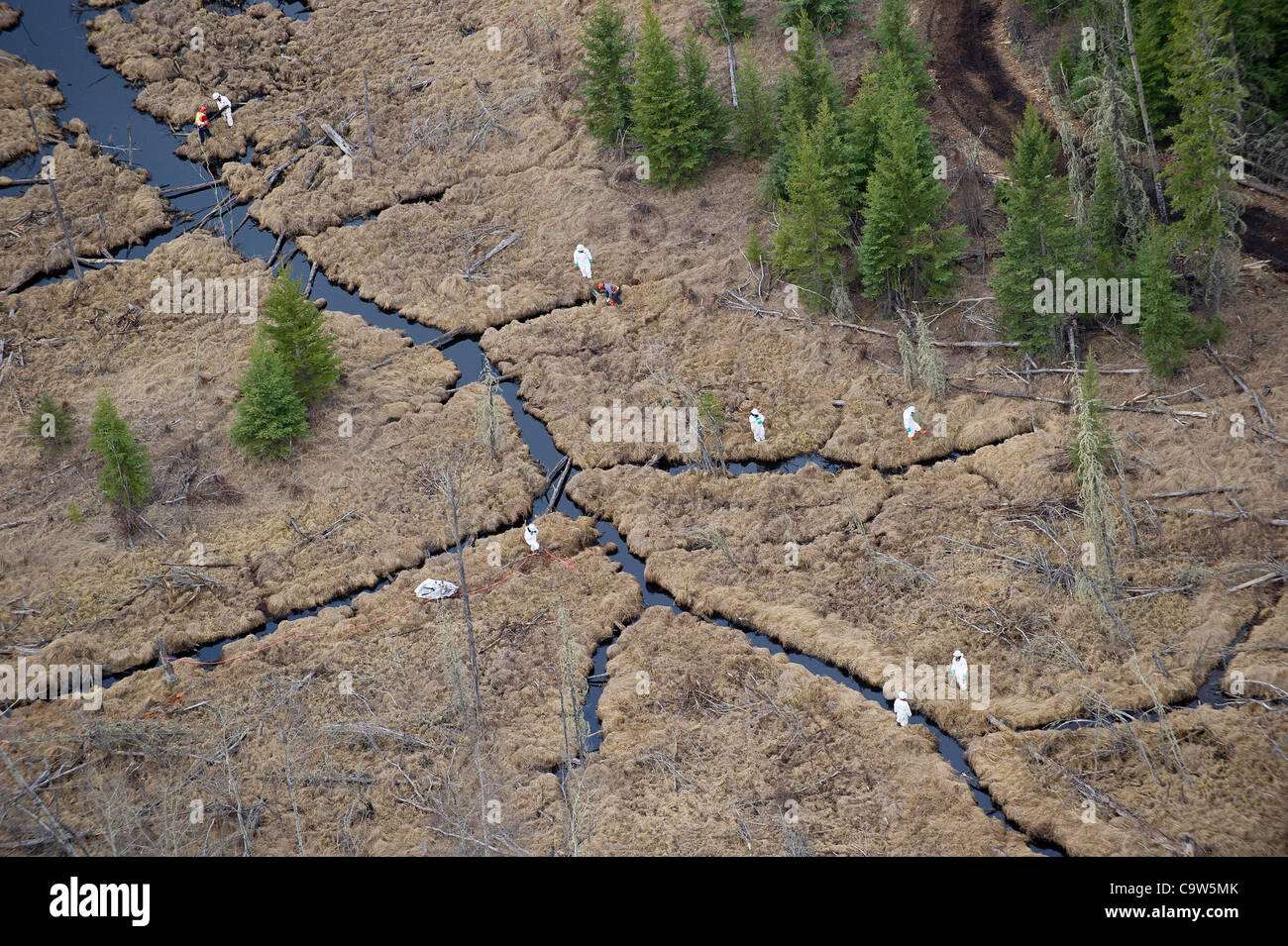 Crews work to clean up oil at a beaver dam from a pipeline spill, owned ...