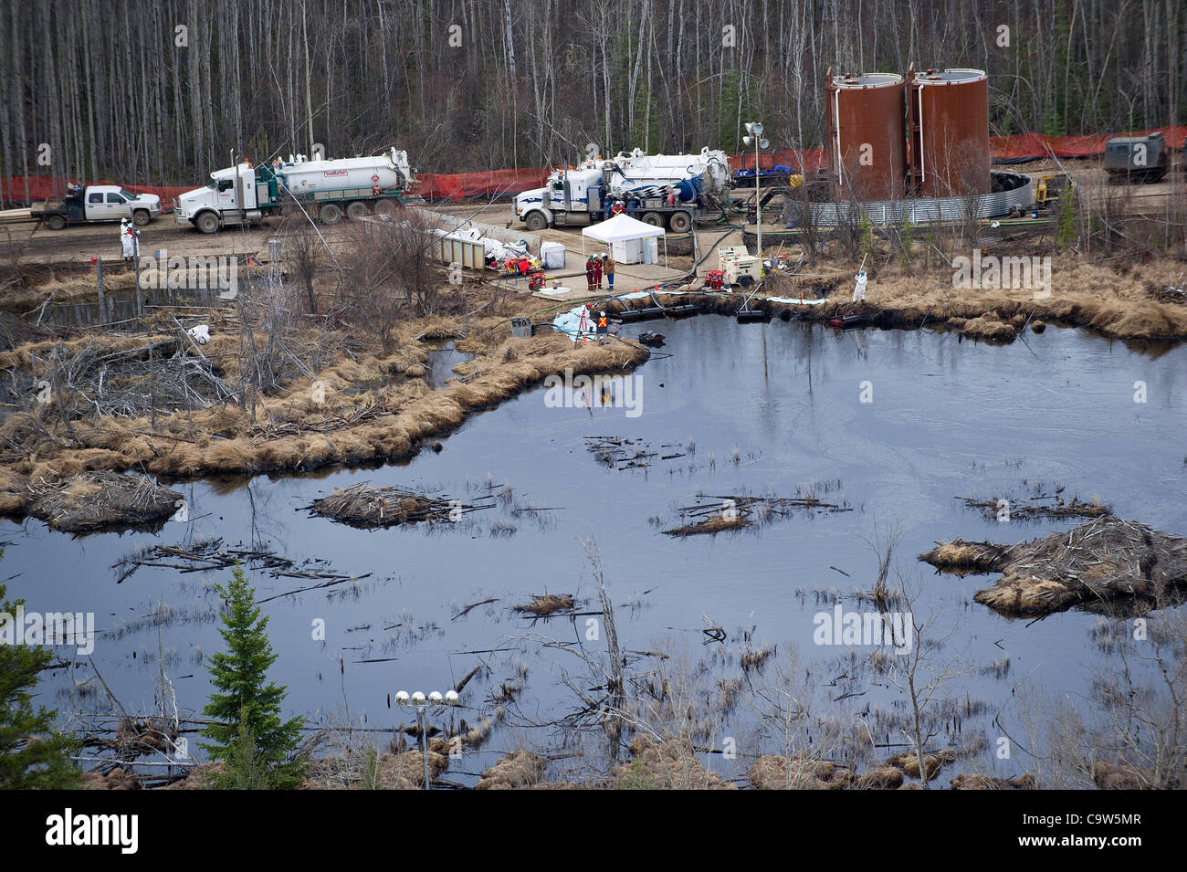 Crews work to clean up oil at a beaver dam from a pipeline spill, owned ...
