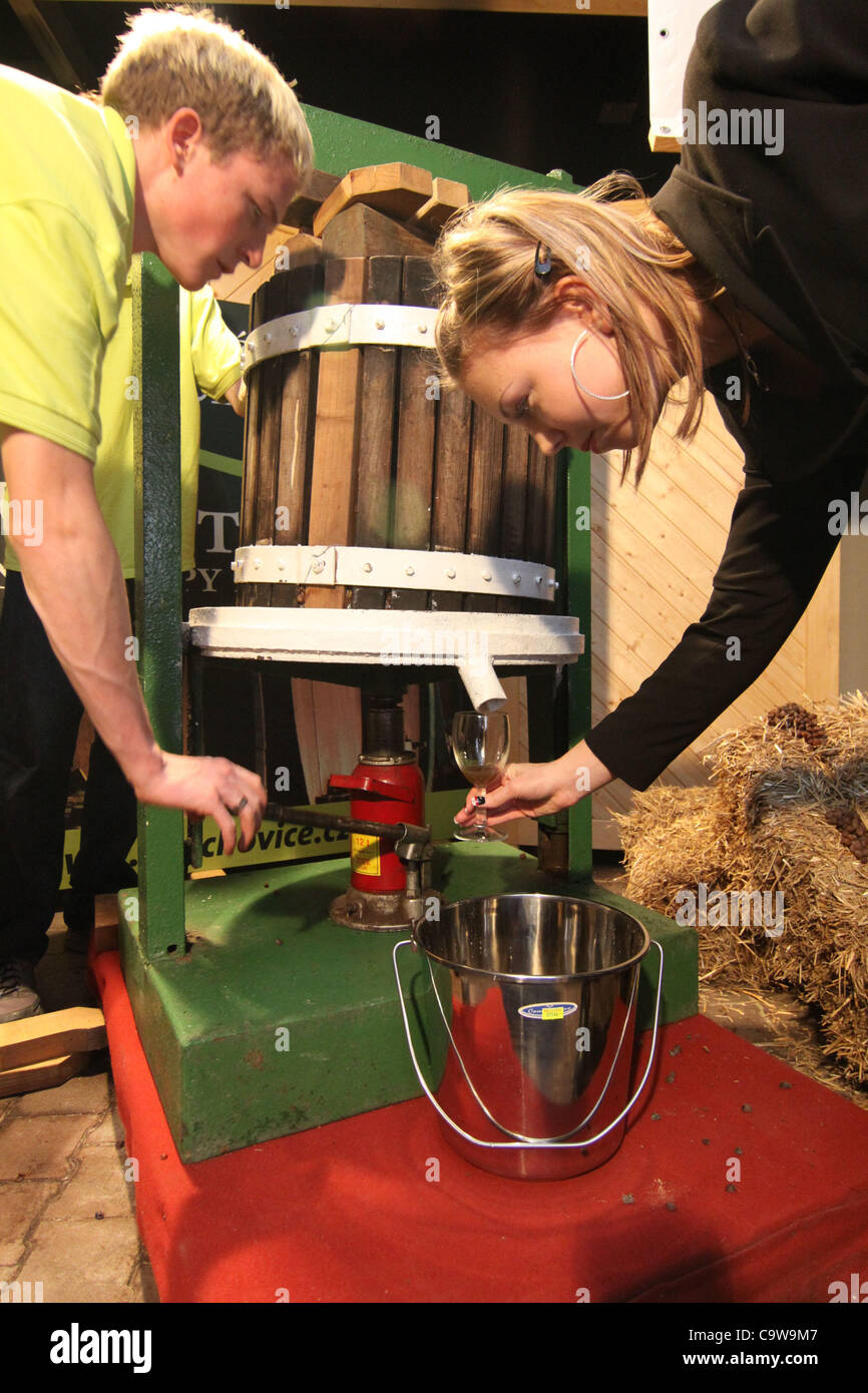 An employee of Lechovice Winery, starts making straw wine. On the 23rd ...