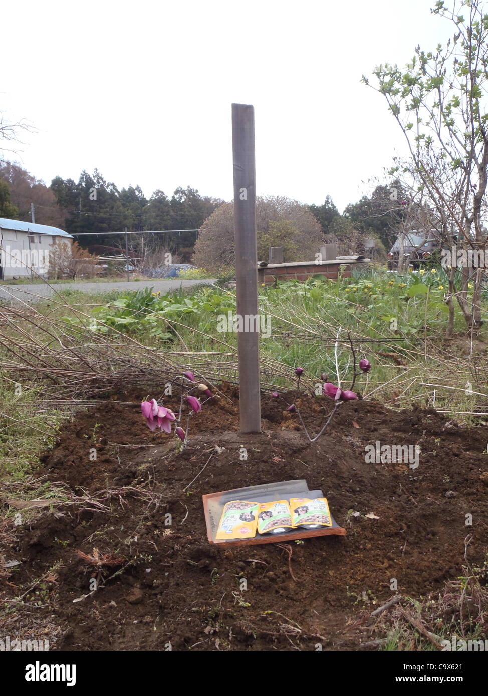 (FILE PHOTO) Tomioka, Japan - A photo released on February 28, 2012 ...