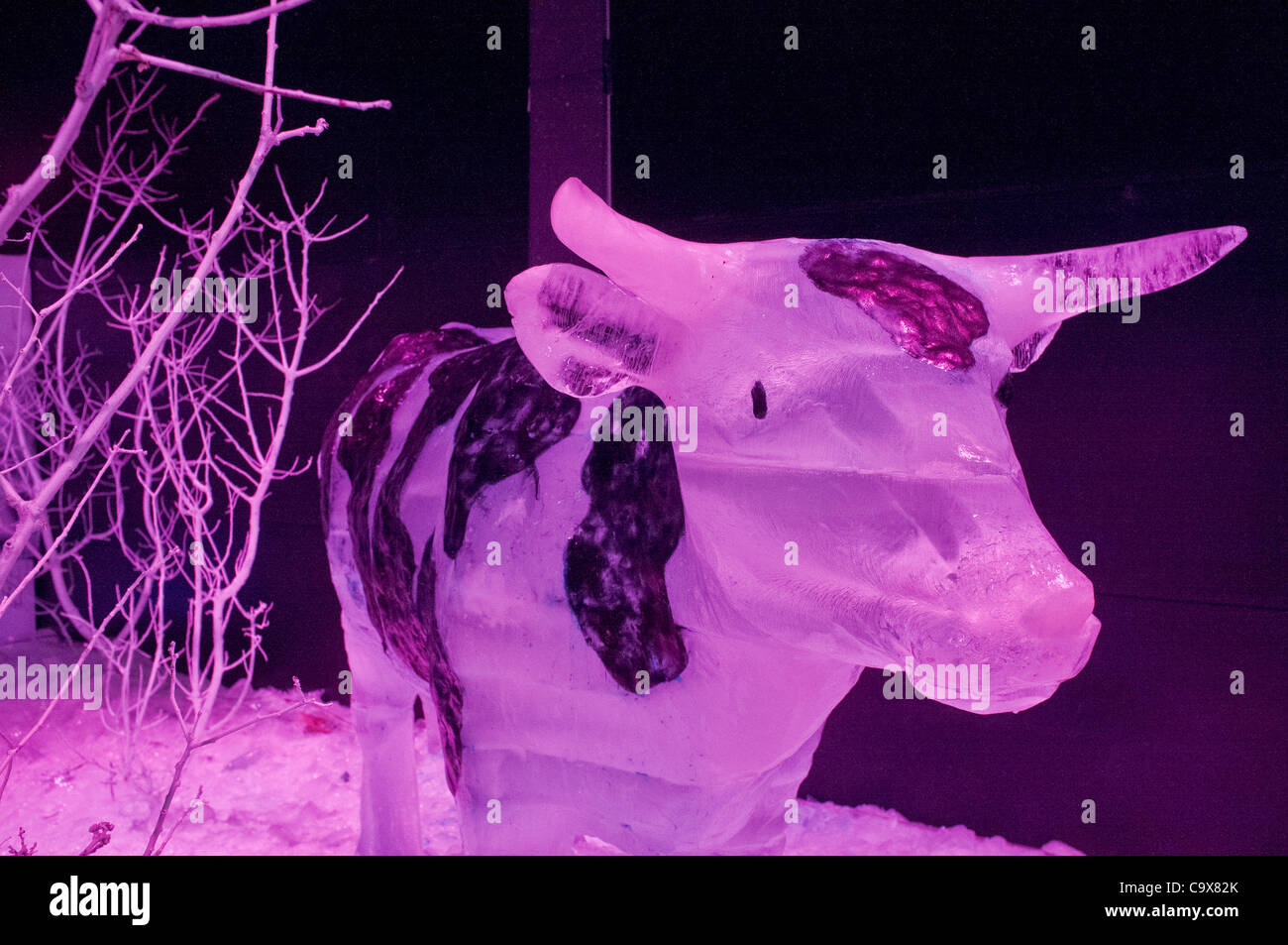 A cow sculptured in ice by Chinese craftsmen awaits Jerusalem’s first ...