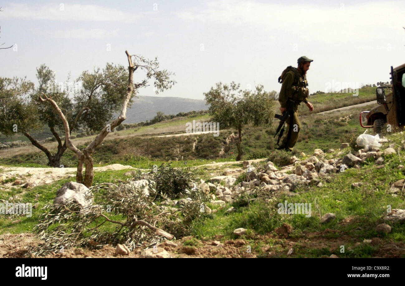 Feb. 28, 2012 - Tul Karem, West Bank, Palestinian Territories ...