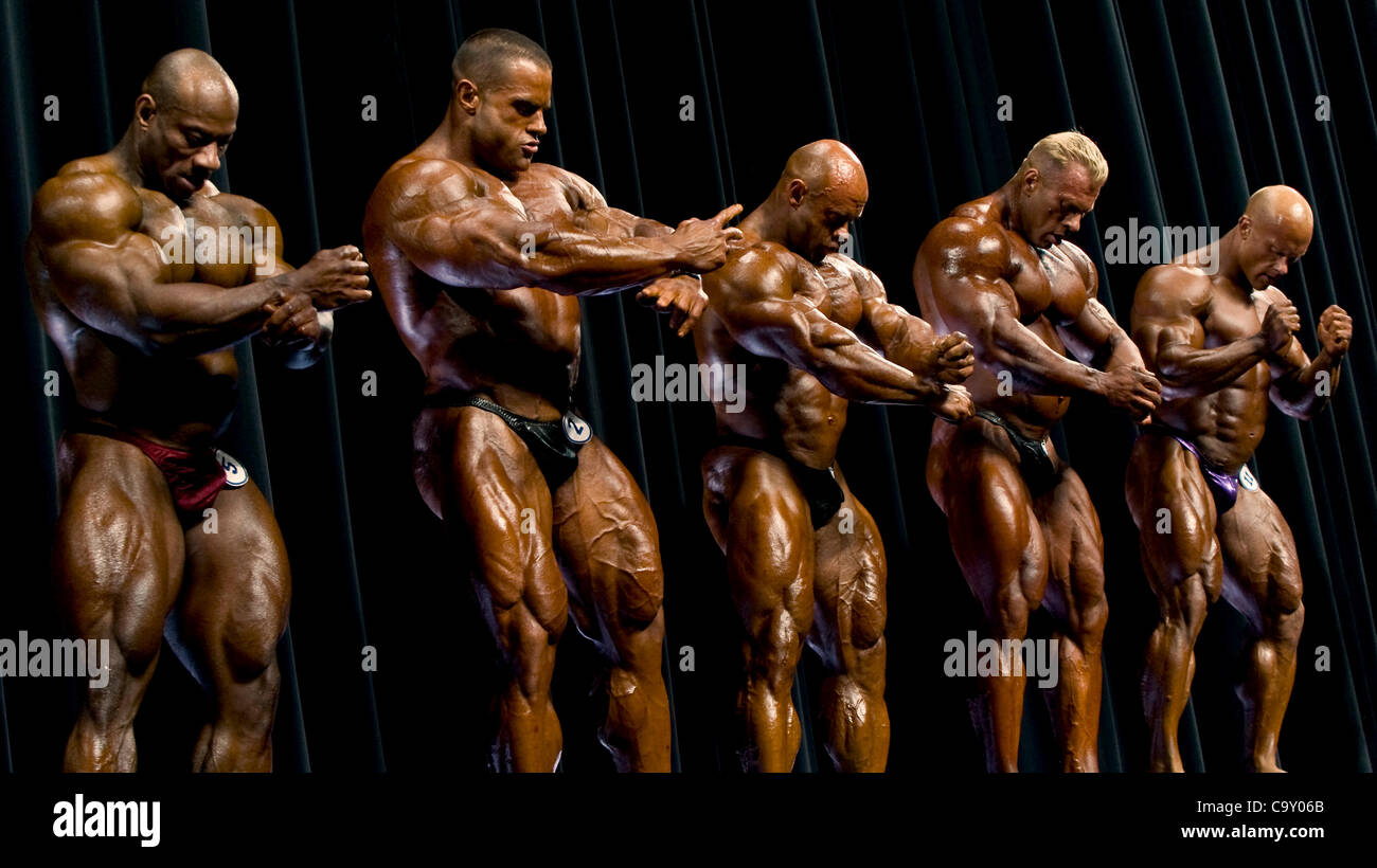 Professional bodybuilders hi-res stock photography and images - Alamy
