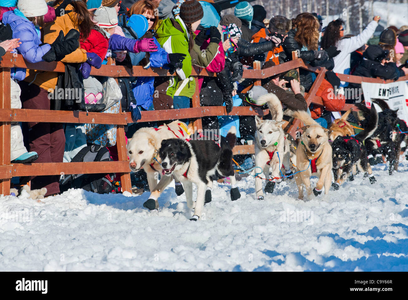Dog team for Iditarod musher Kristy Berington leaving the gate at the ...
