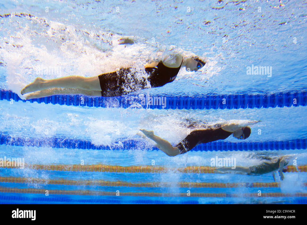 Underwater view of the British Swimming Championships 2012, 07 Mar 12 ...