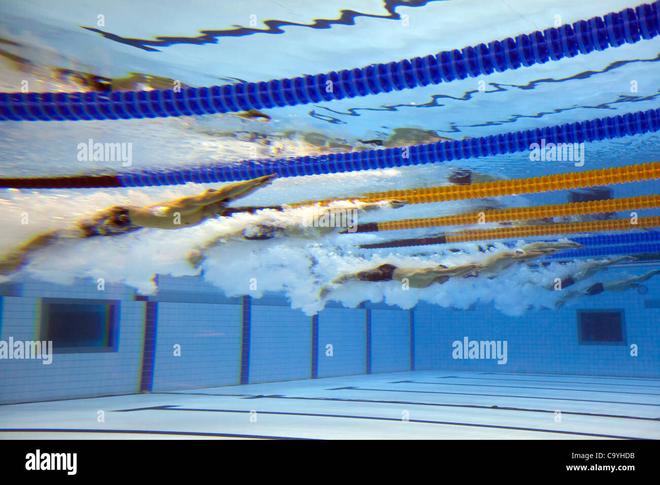 Underwater view of the British Swimming Championships 2012, 07 Mar 12 ...