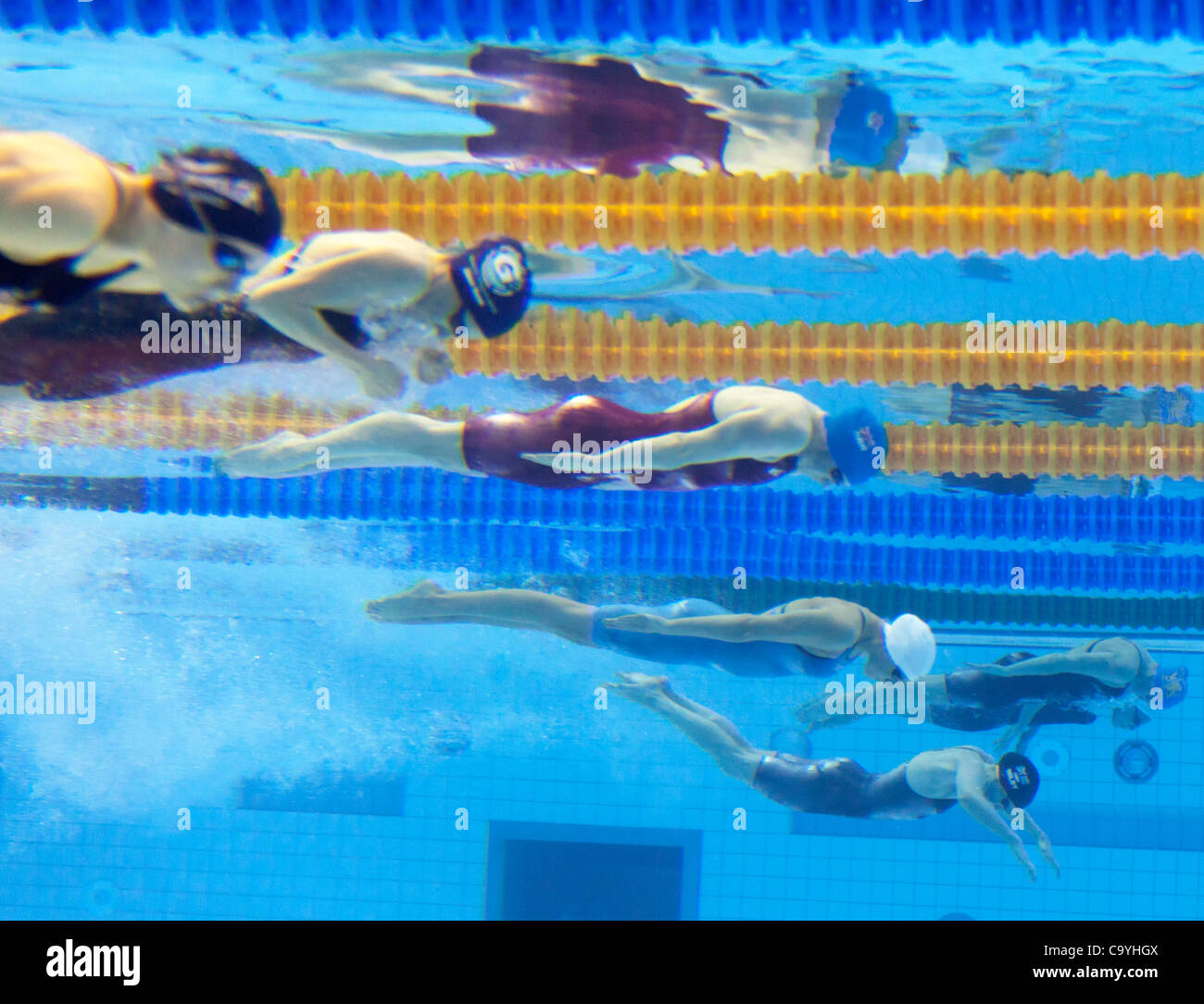 Underwater view of the British Swimming Championships 2012, 07 Mar 12 ...