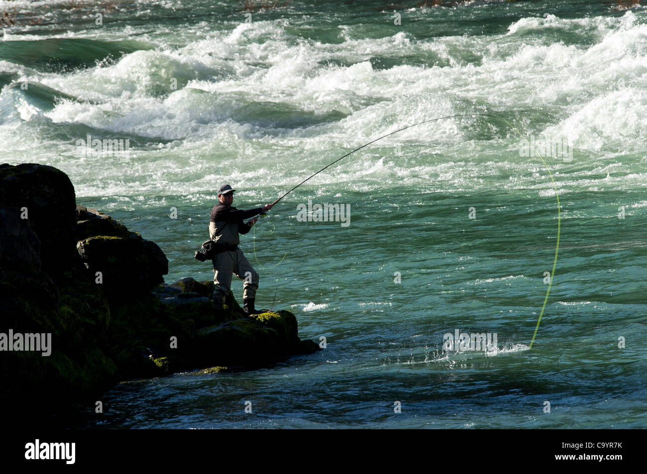 March 9, 2012 - Glide, Oregon, U.S - An angler fly fishes for steelhead ...
