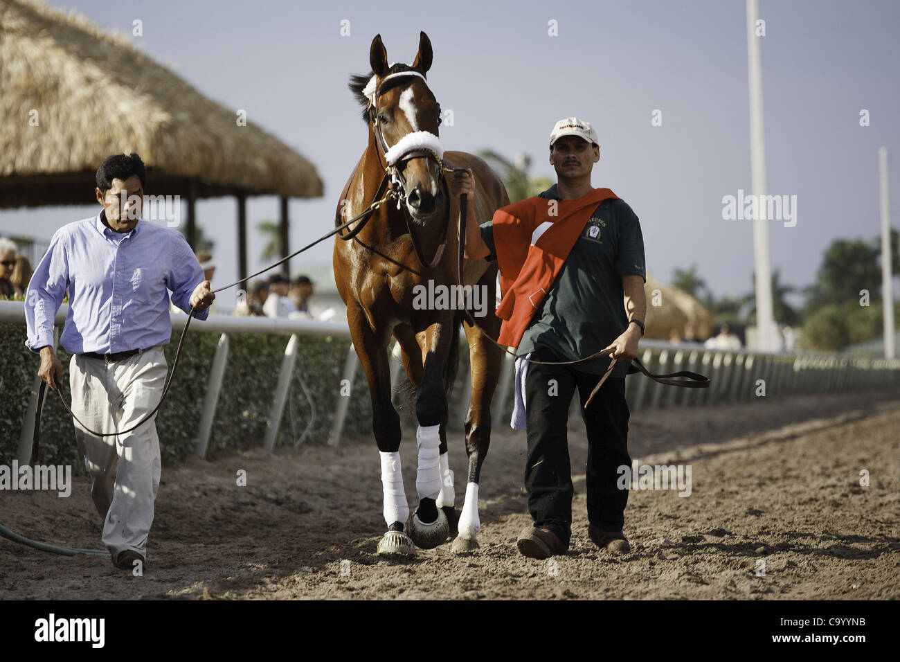 Mucho macho man hi-res stock photography and images - Alamy