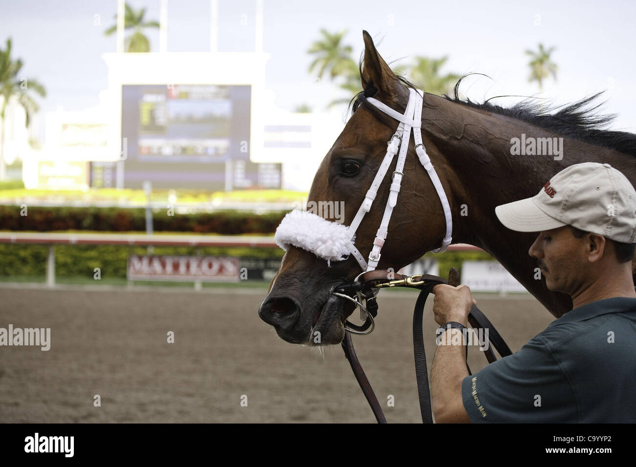 Mucho macho man hi-res stock photography and images - Alamy