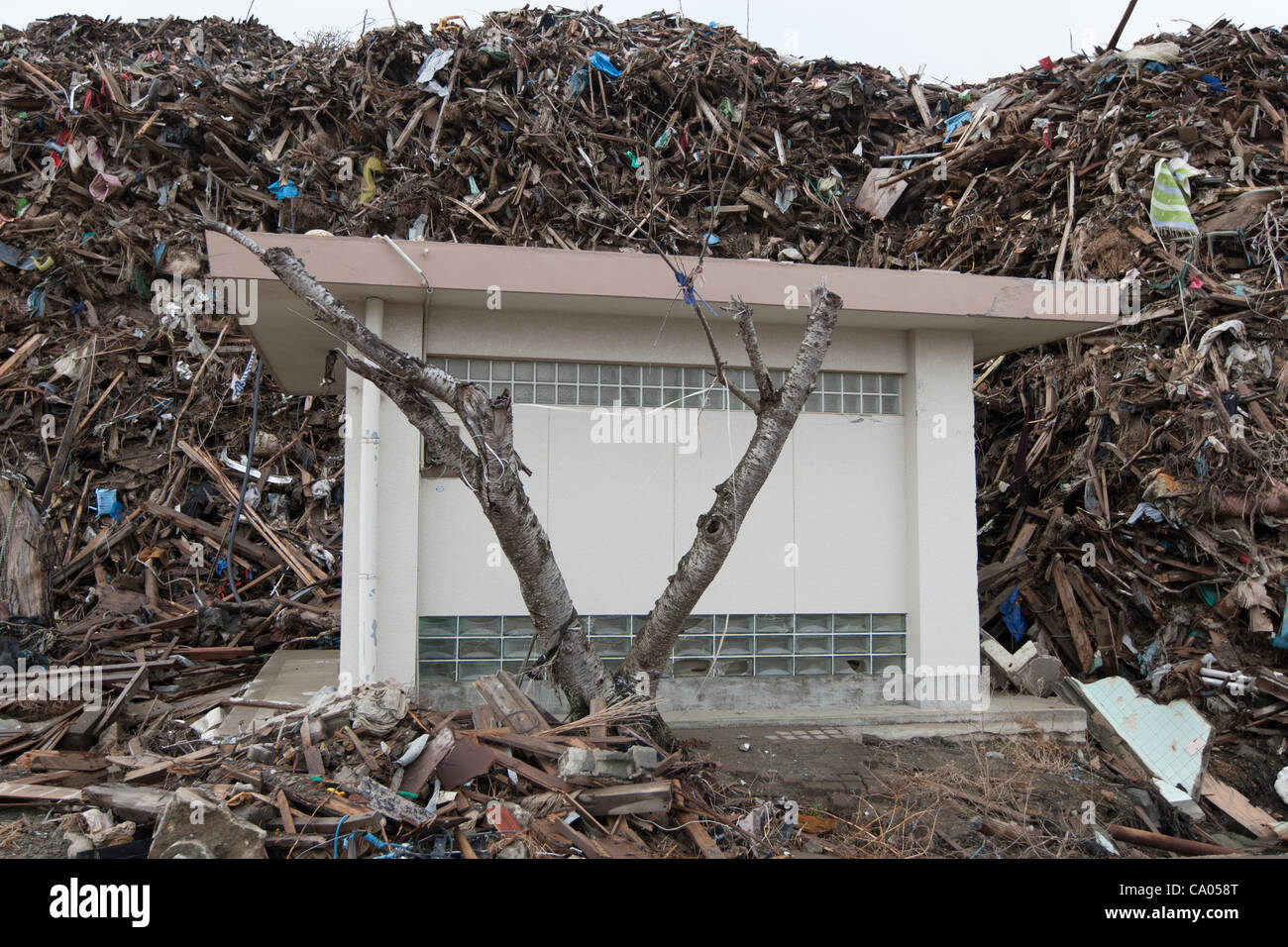 Mountains of debris and garbage caused by the 2011 tsunami, sit beside ...