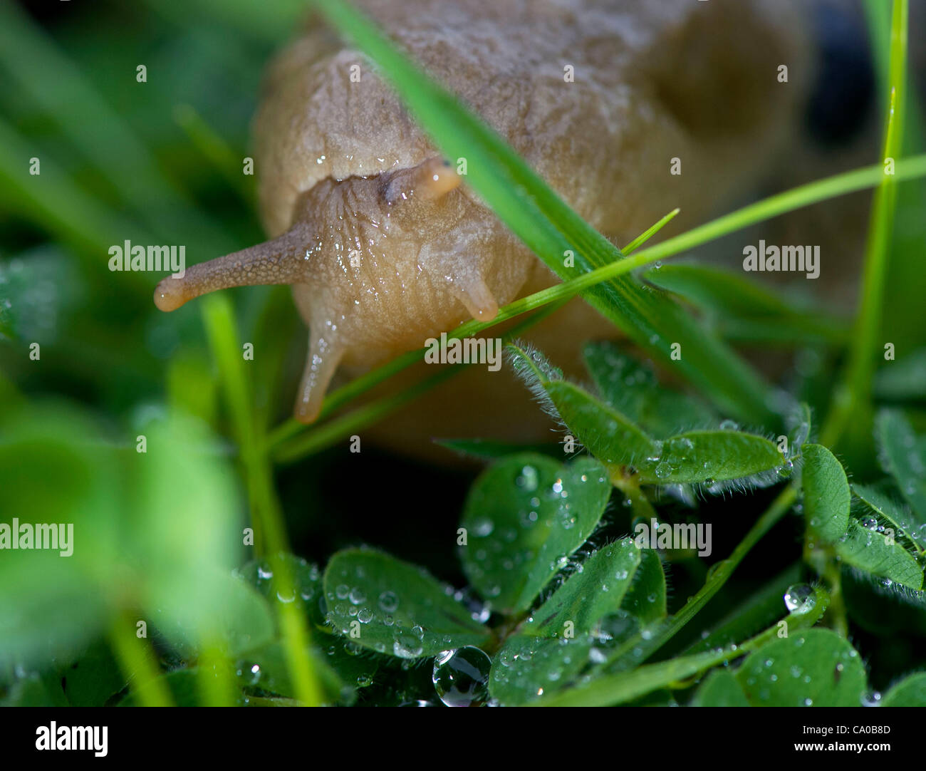 12 9 6 5 cm hi-res stock photography and images - Alamy